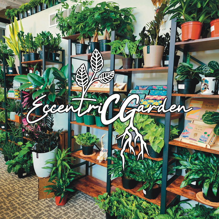 Eccentric Garden